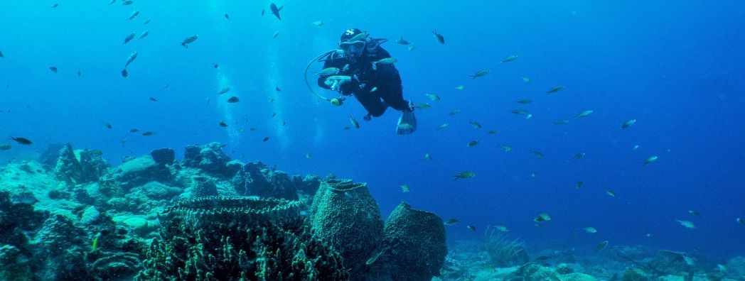 Lifras asbl - La Lifras